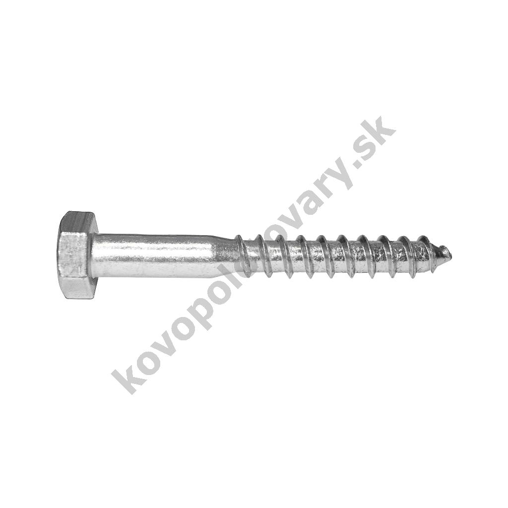 Nerezový podstavcový vrut do dreva 6x60 mm 6-hranná hlava, DIN 571, pre zábradlie, schodiska a brány